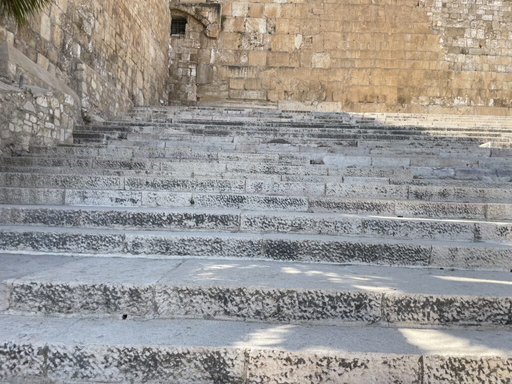 Southern Steps – Holy Land Tour | Paul Chappell