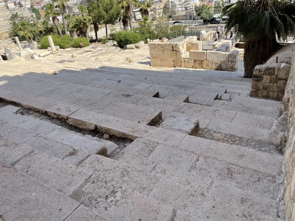 Southern Steps – Holy Land Tour | Paul Chappell